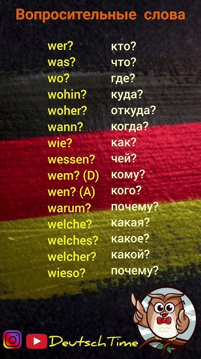 Немецкий с нуля 🇩🇪 Вопросительные слова на немецком языке 🇩🇪 Shorts