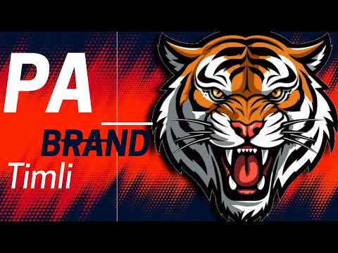 PA BRAND TIMLI - PA NA BHADAKA TIMLI - DJ SAFVAN - REMIX - PARUL RATHVA NI TIMLI - #pabrand