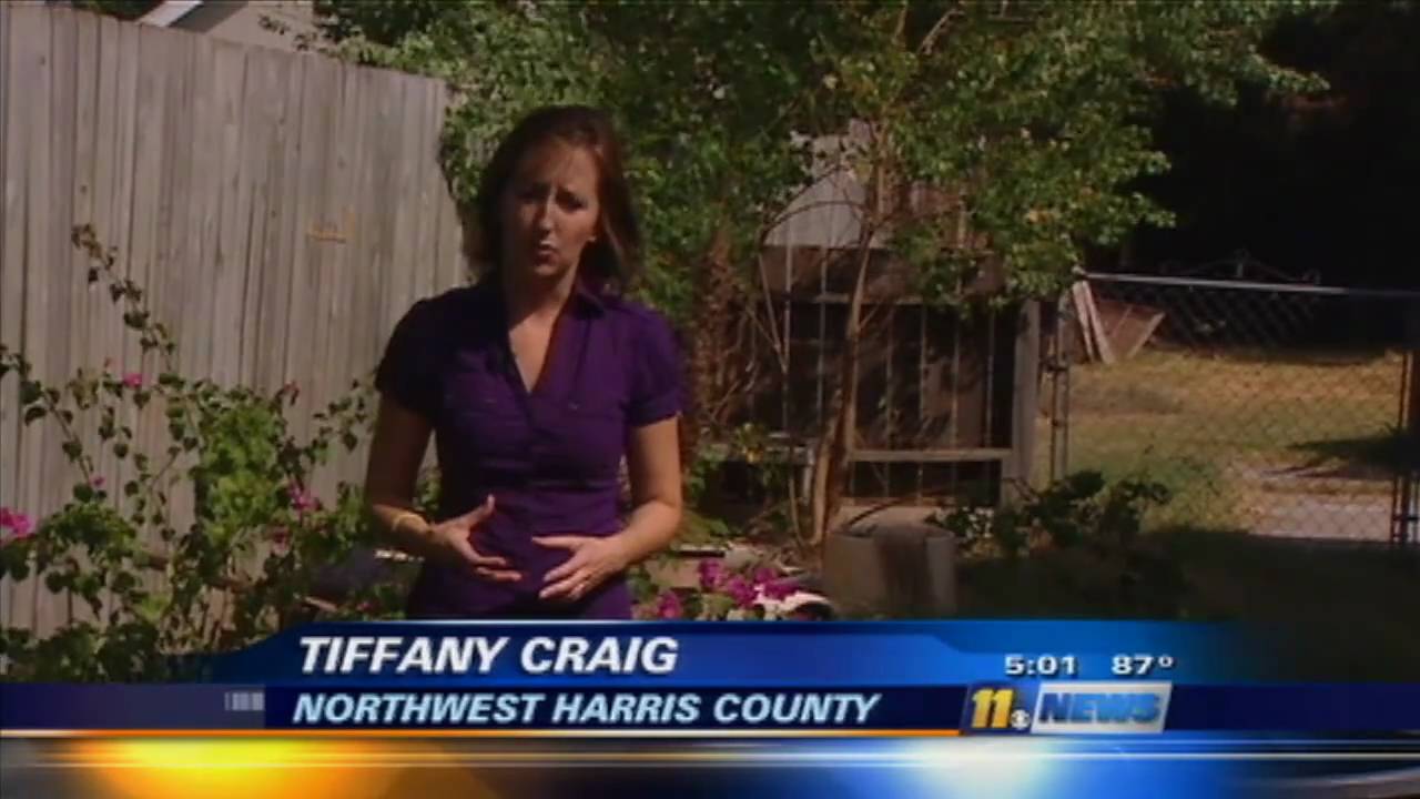 "Body Found in Barrel" Tiffany Craig Reports - YouTube