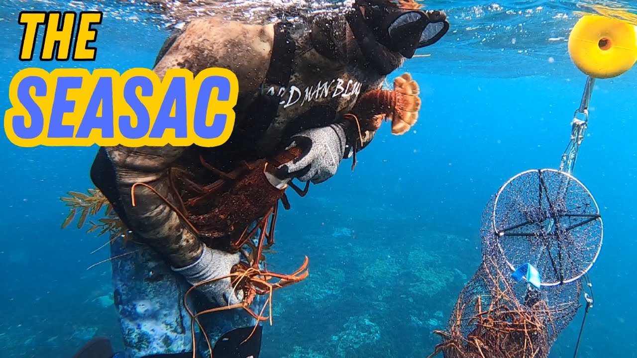 The Ultimate Catch Bag | The SEASAC - YouTube