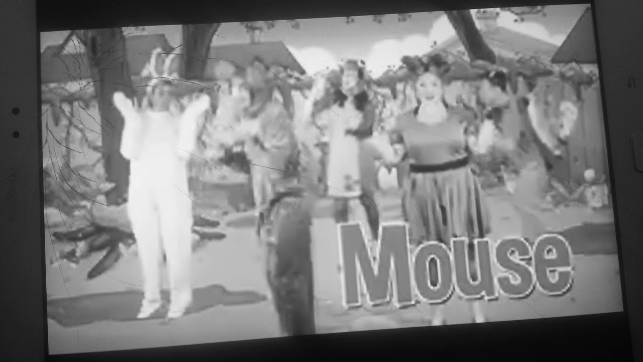 Garden Animals Finger family bounce patrol. - YouTube