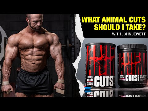 What Animal Cuts Should I Take? With IFBB Pro John Jewett