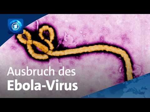 Ebola im Kongo: Zahl der Todesfälle steigt