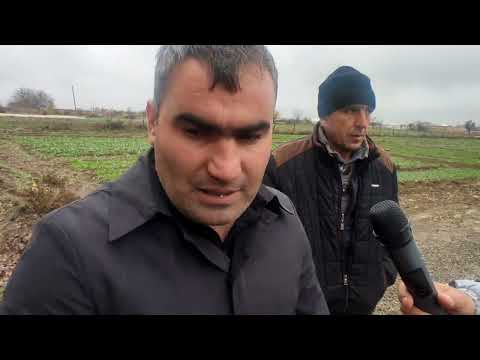 Qanun TV nin rəhbəri Bəxtiyar Vəliyev Şəmkir rayon Yeni yol kəndində