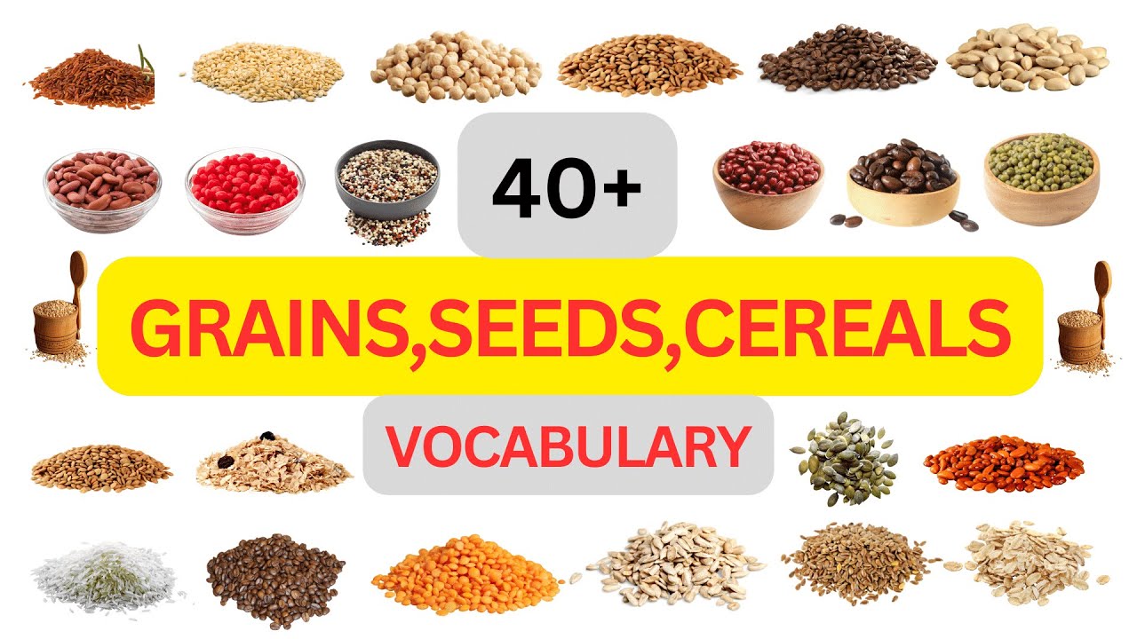 Exploring 40+ Grains, Seeds, and Cereals - Kids’ Nutrition Adventure ...