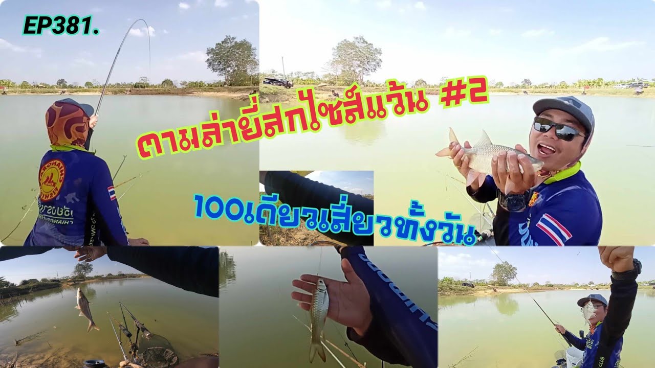 EP381.ตามล่ายี่สกไซส์แว้น #2 ( 💯 เดียวเสียวทั้งวัน บ่อเหมากึ่งธรรมชาติ ...
