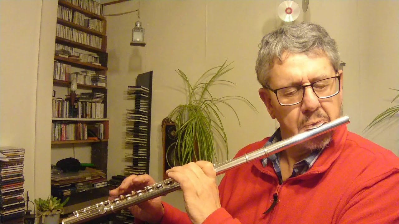 Buffet Crampon student flute 2 model comparison demo - YouTube