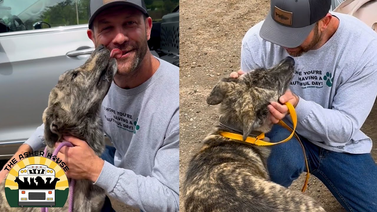 These brothers were so close to the end and now it's just the beginning ...