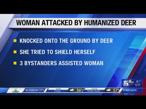 Tellico Plains woman hospitalized after unprovoked deer attack