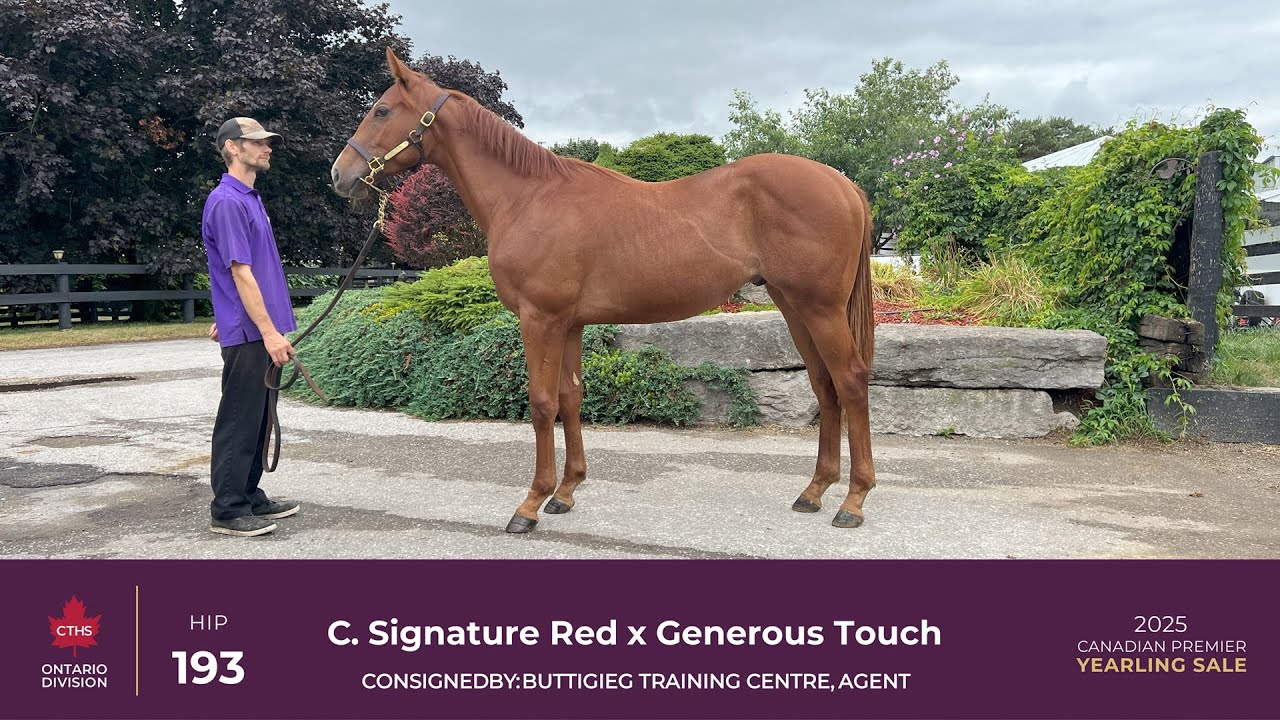 Hip 193 - C. Signature Red x Generous Touch - YouTube