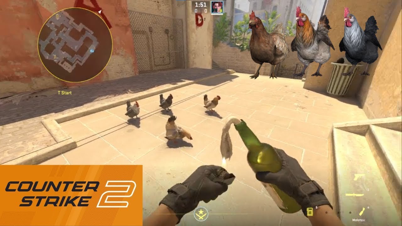 Brutal killing Chickens / CS2 - YouTube