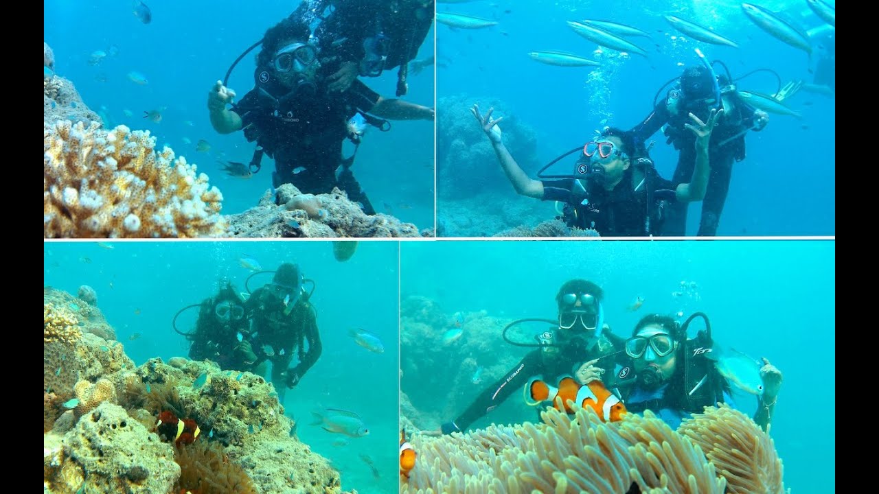 Best Day in Andaman -- Underwater SCUBA DIVING in Coral Reef | Best ...