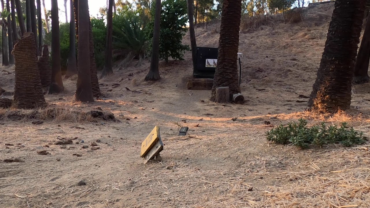 Border Archery Covert Hunter Hex9 Limbs Camera Series - Under Bow ...