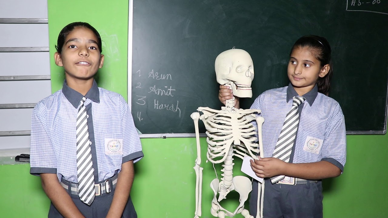 Class 6 of BIPS Learning Human body structure - YouTube