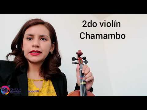 2do violín - 3ra tarea - Chamambo - YouTube