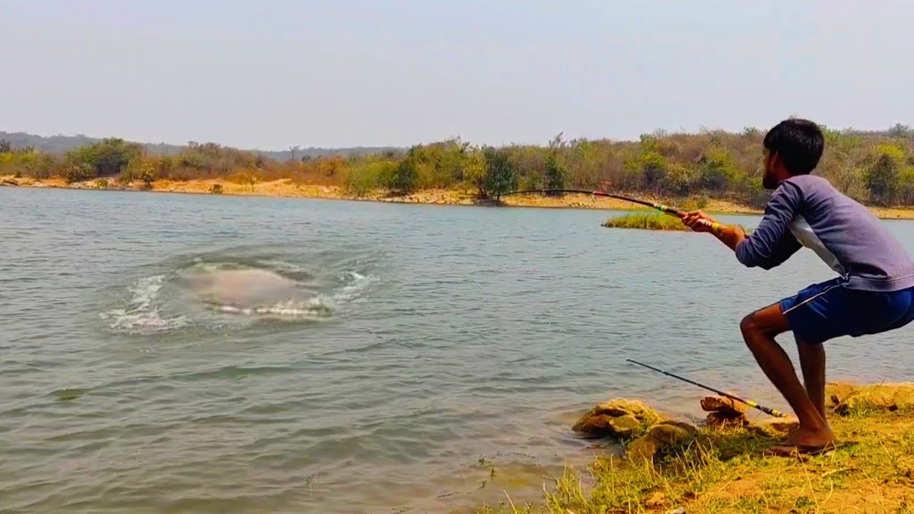 Unbelievable fish hunting || Big fishing || Incredible fishing || Hook ...