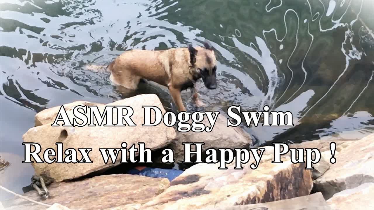 ASMR Water Play with a Happy Pup - Perfect for Relaxation! - YouTube