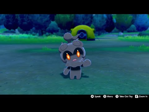 Marshadow In Camp - Pokemon Sword & Shield - YouTube