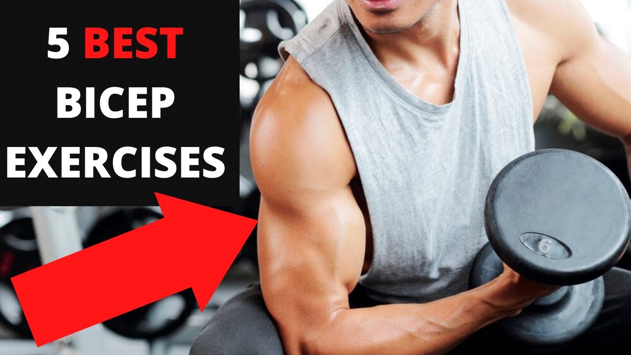 5 BEST Bicep Exercises (MUST DO THESE!!!) - YouTube