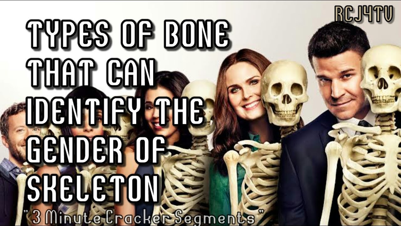 TYPES OF BONE THAT CAN DETERMINE THE GENDER OF SKELETON (TAGALOG) - YouTube