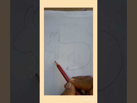 Rabbit Drawing. Easy khargosh Drawing. - YouTube