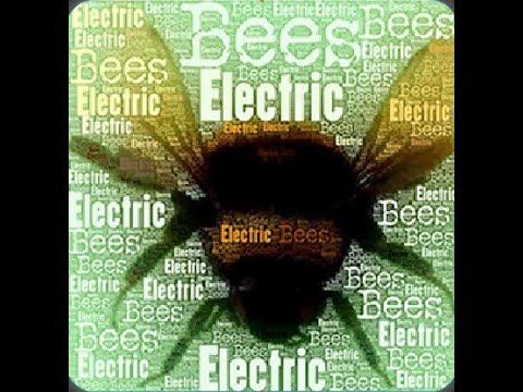 Electric Bees - YouTube
