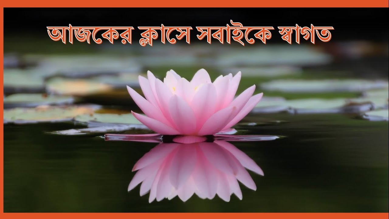 প্রবন্ধ রচনা/probondho rocona/৭ম/বাংলা ২য় পত্র - YouTube