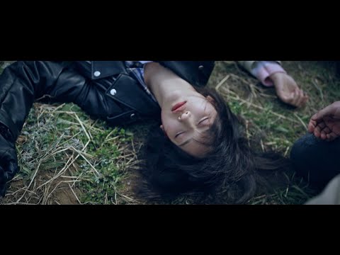 Vigilante Detective: Korean Drama Head KO