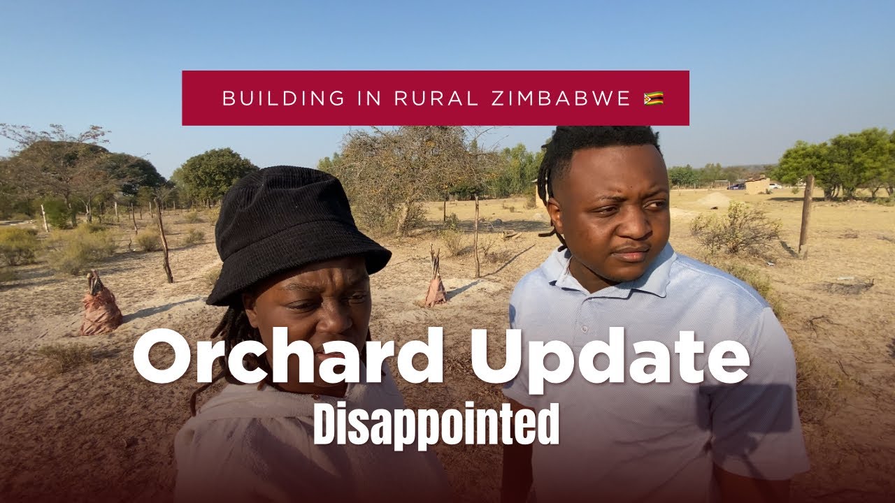 #16 Orchard Update: Huge Disappointment; Building in rural 🇿🇼 Zimbabwe ...