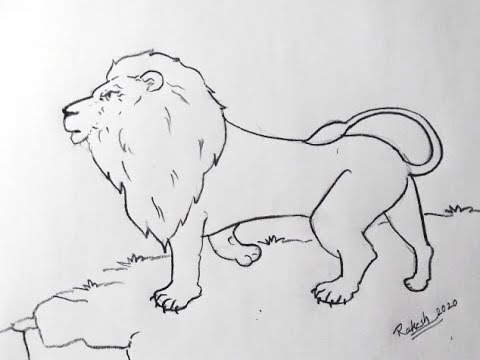 How to draw a easy lion drawing/ Lion drawing/ lion illustration ...