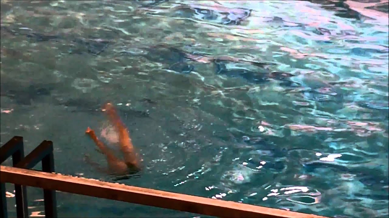 Seattle Synchro Age Group 13-15 Solo February 19, 2011 - YouTube