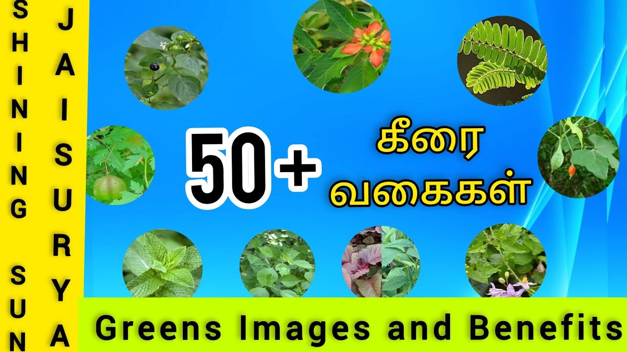 #KeeraiVagaigal | 50+Keerai varieties & its #benefits | #TypesofGreens ...