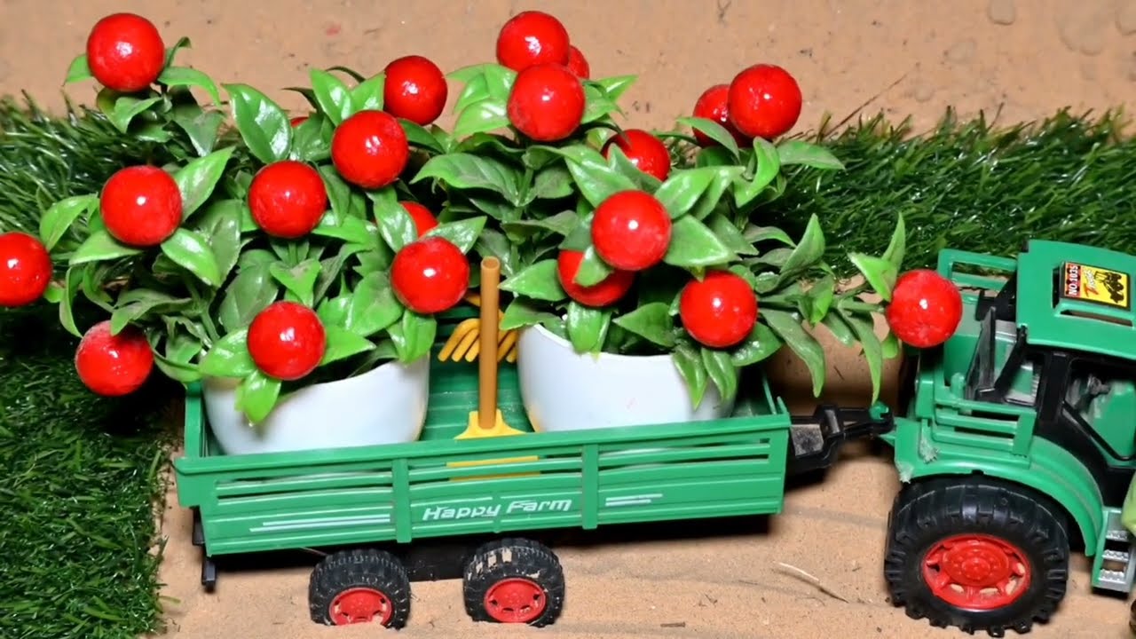 DIY TRACTOR TREE PLANTING FARMING NEW TECHNOLOGY Science Project ||@MR ...