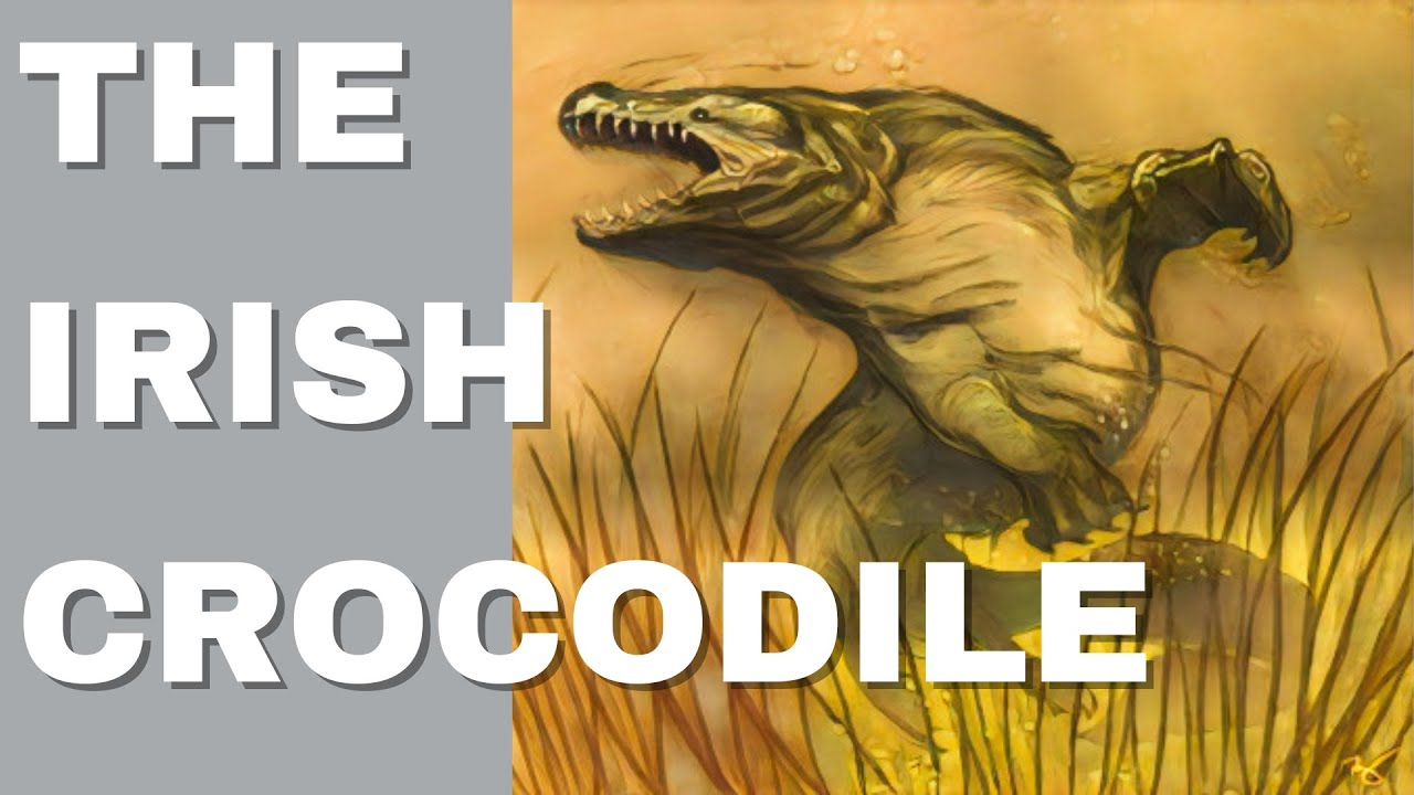 Dobhar-Chu: The Irish Crocodile - YouTube
