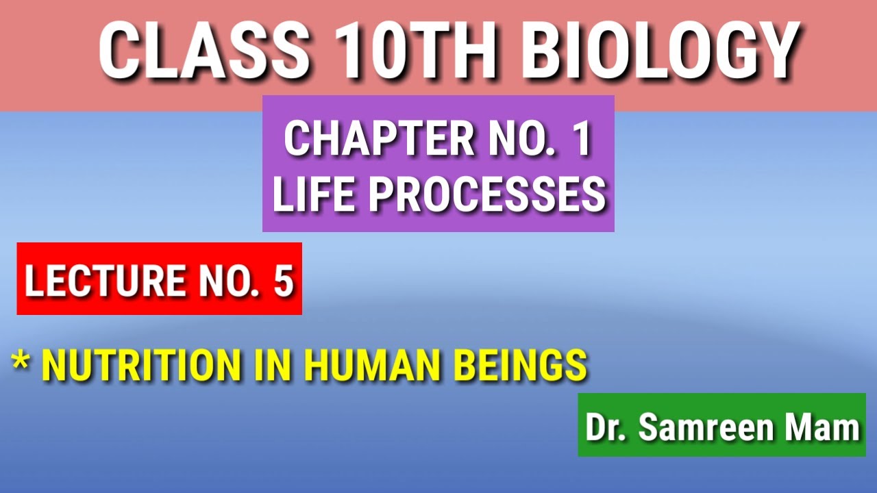 Class 10th Biology | Chapter No. 1 life Processes | Nutrition in Human ...