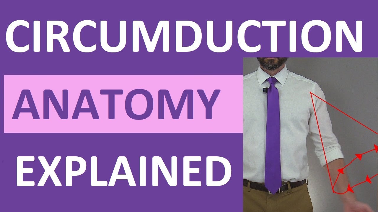 Circumduction Movement: Hip, Shoulder, Thumb, Fingers, Wrist, Ankle ...