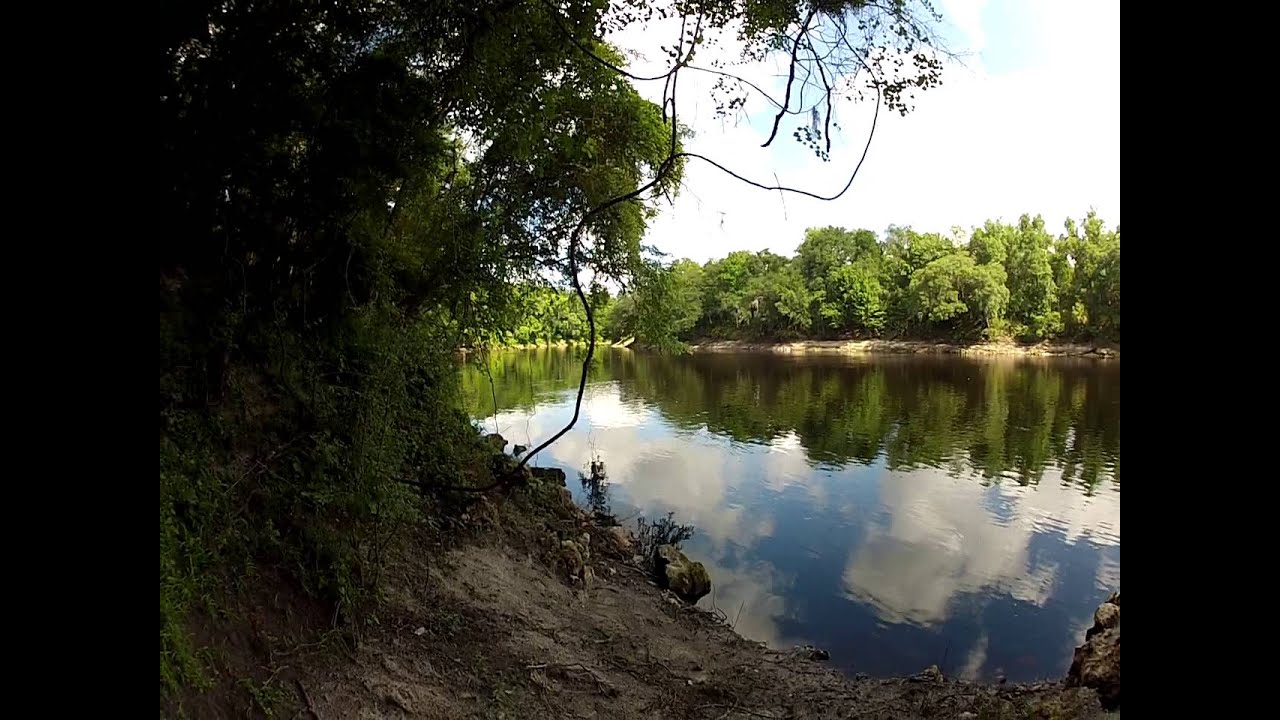 Suwannee River in Twin Rivers State Forest - YouTube