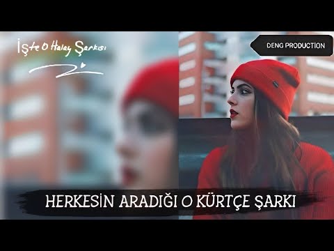 HERKESİN ARADIĞI O KÜRTÇE HALAY MUTLAKA DİNLE [ TRAP 2024 YENİ NESİL HALAY ]™
