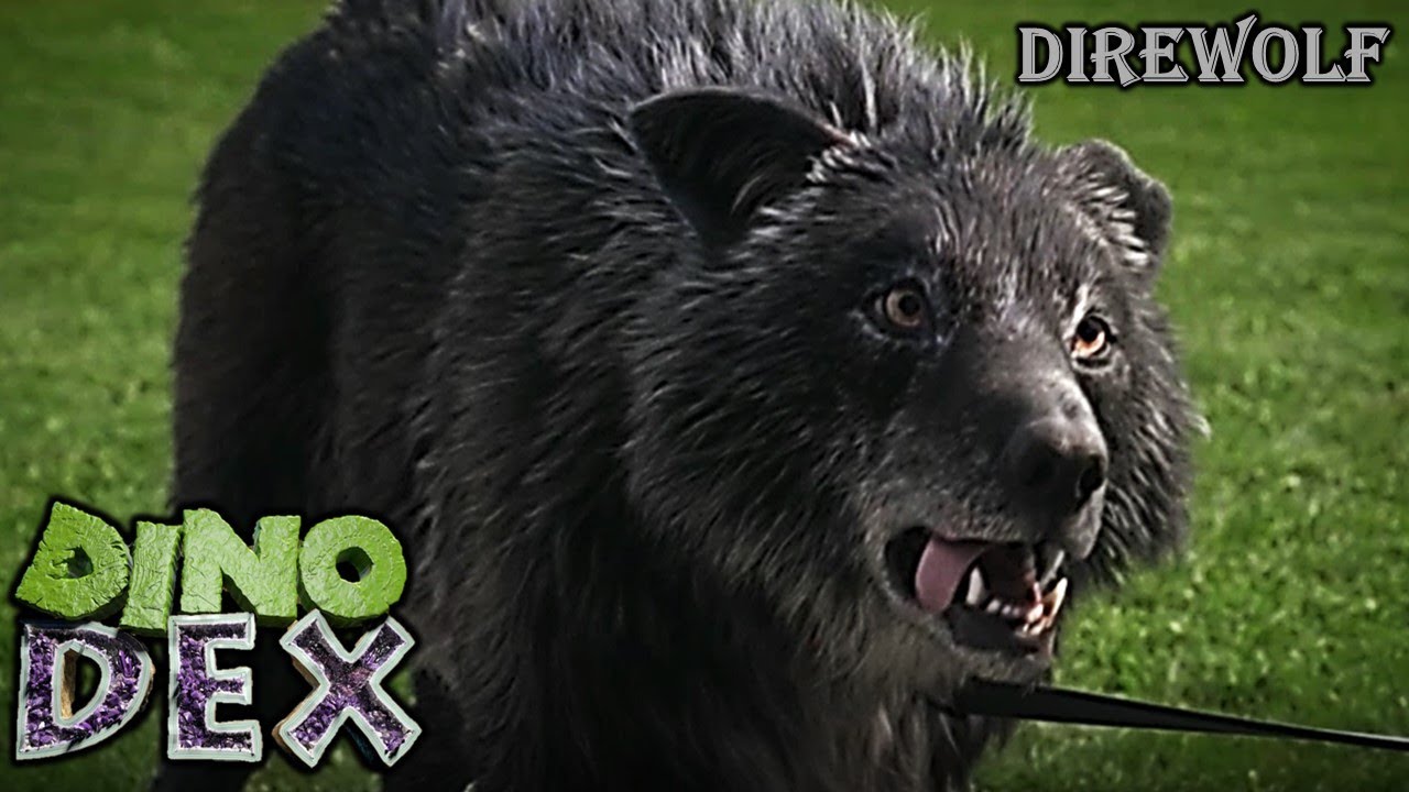 Dino dex direwolf screen time - YouTube
