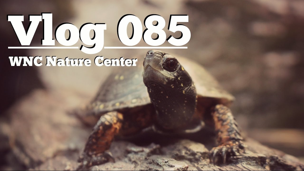 WNC Nature Center - YouTube