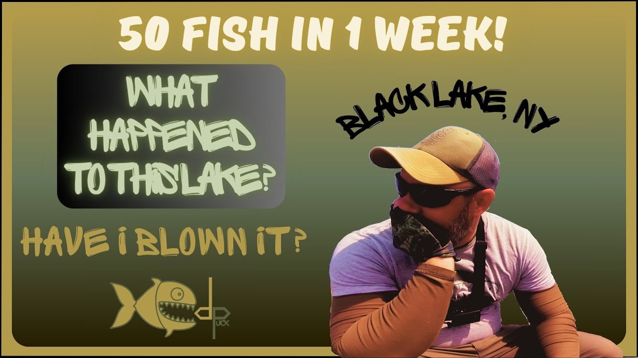 50 Fish in one week, Days 4 and 5. Hitting a wall. Have I blown it ...