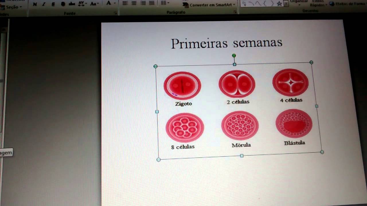 UFG _ Lic. em Ciências Biológicas : Plano de Aula Prática de ...