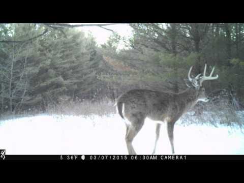 15' Contest | Duane Jewell, Wisconsin - YouTube
