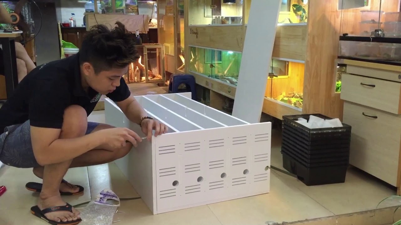 Rack for Snakes, Python, Leopard Gecko (rack cho bò sát) - YouTube