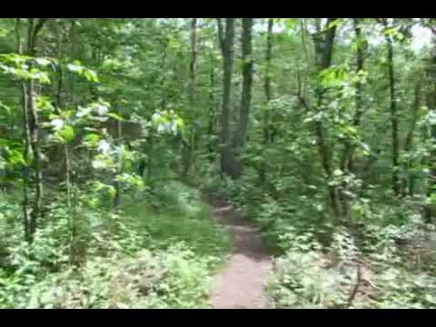 Appalachian Trail Tray Mountain Hike May 25, 2010 - YouTube