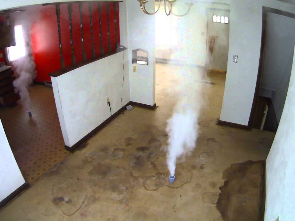 Raid Fumigator in action - YouTube