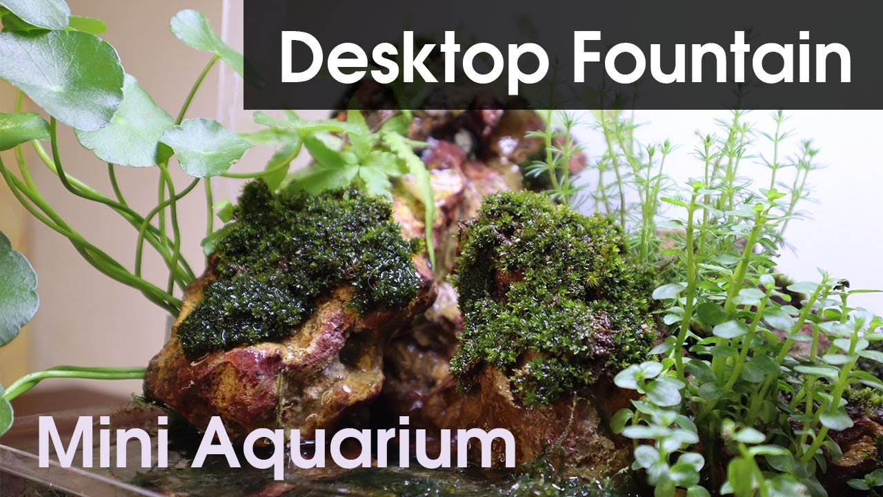 How to make a Mini Desktop Fountain | Mini desktop Aquarium with water ...