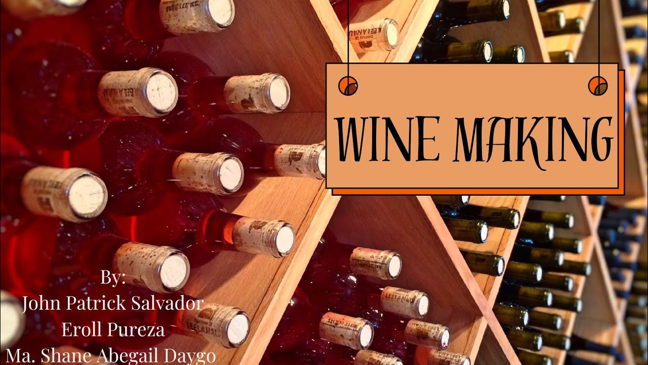 WINE MAKING GEN-BIO PETA - YouTube