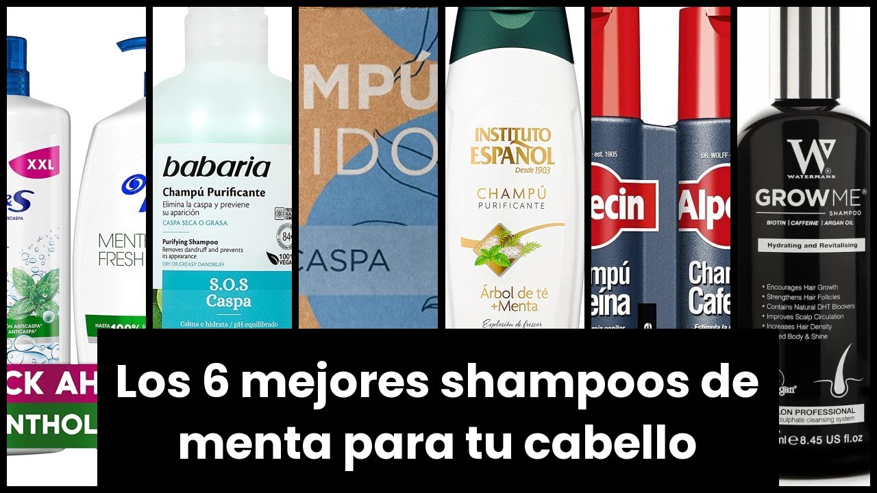 【SHAMPOO DE MENTA】Los 6 mejores shampoos de menta para tu cabello - YouTube