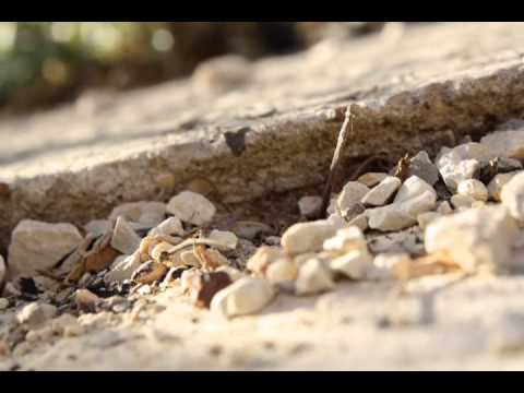 Rock Movement - YouTube